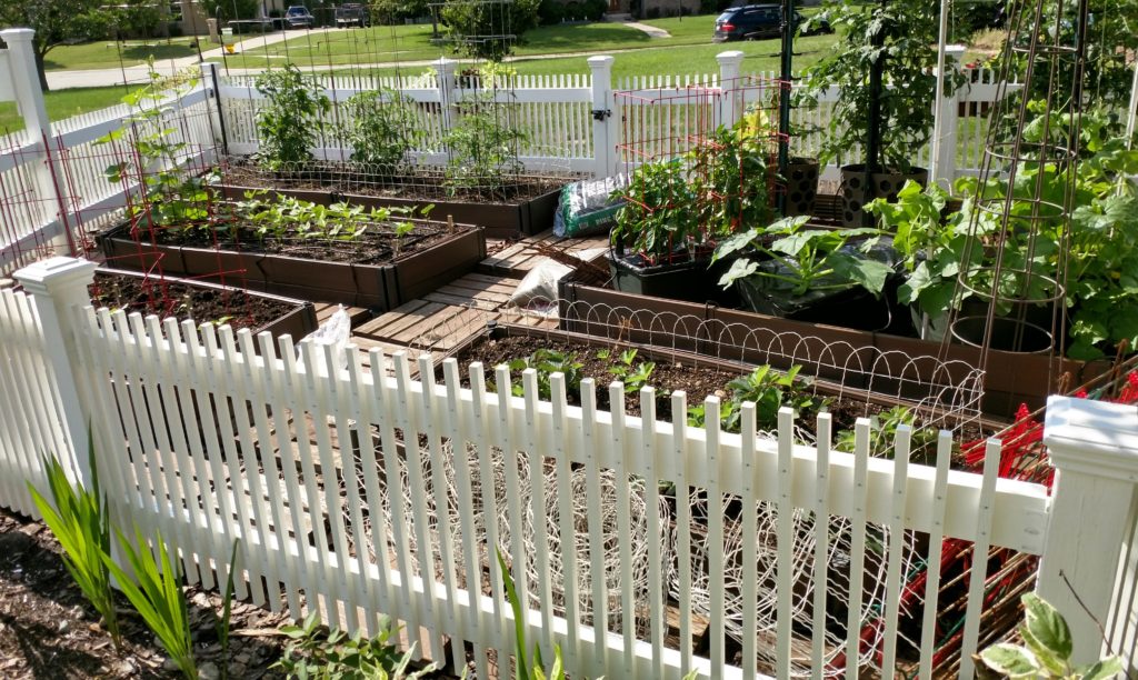 How One Square Foot Holds the Key to Simplified Vegetable Gardening