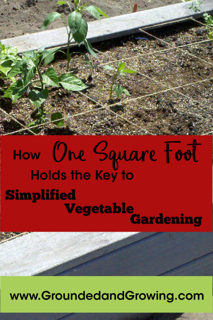 How One Square Foot Holds the Key to Simplified Vegetable Gardening